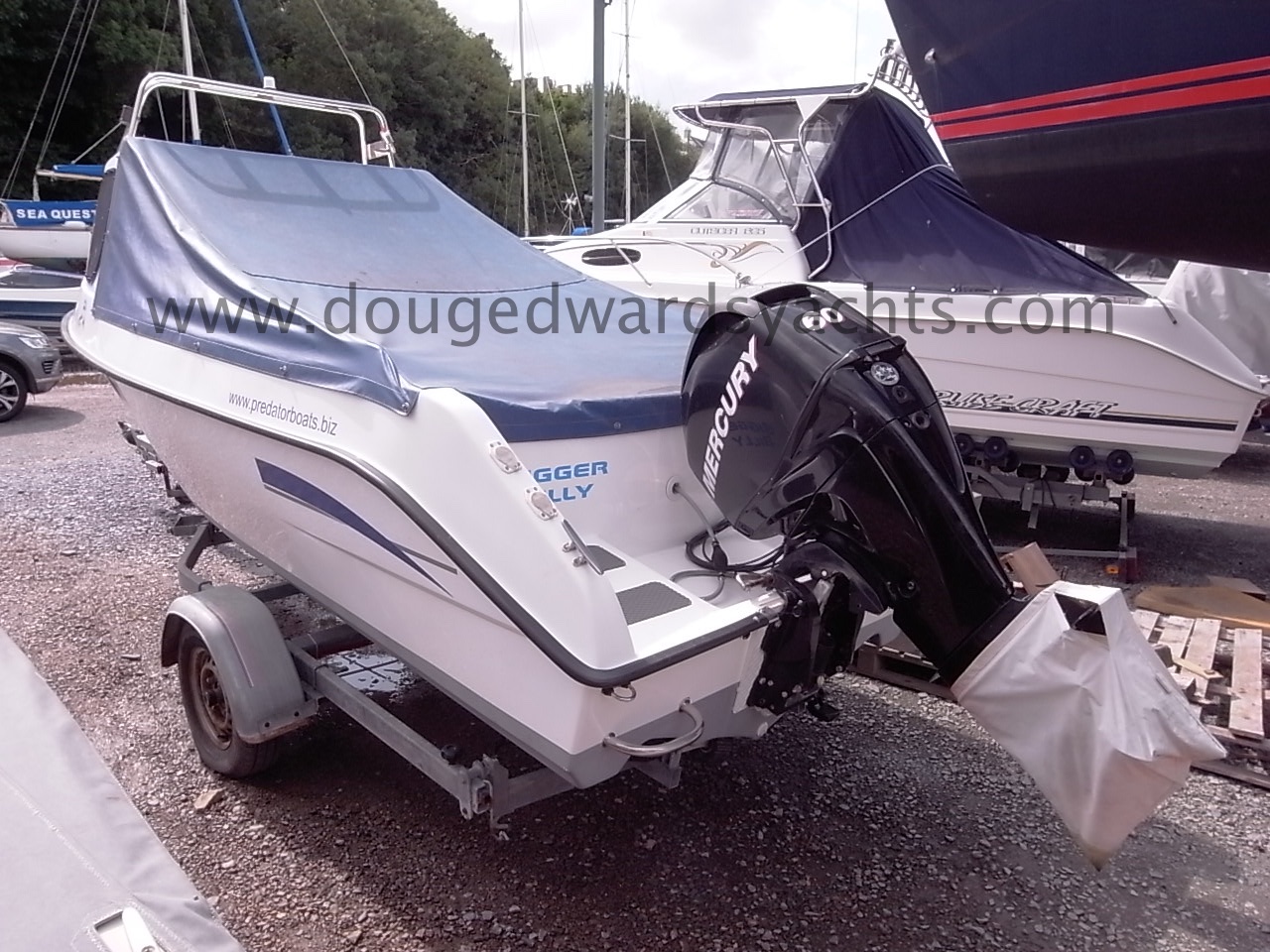 Predator 165 Sports Fishing Boat – Doug Edwards Yachts