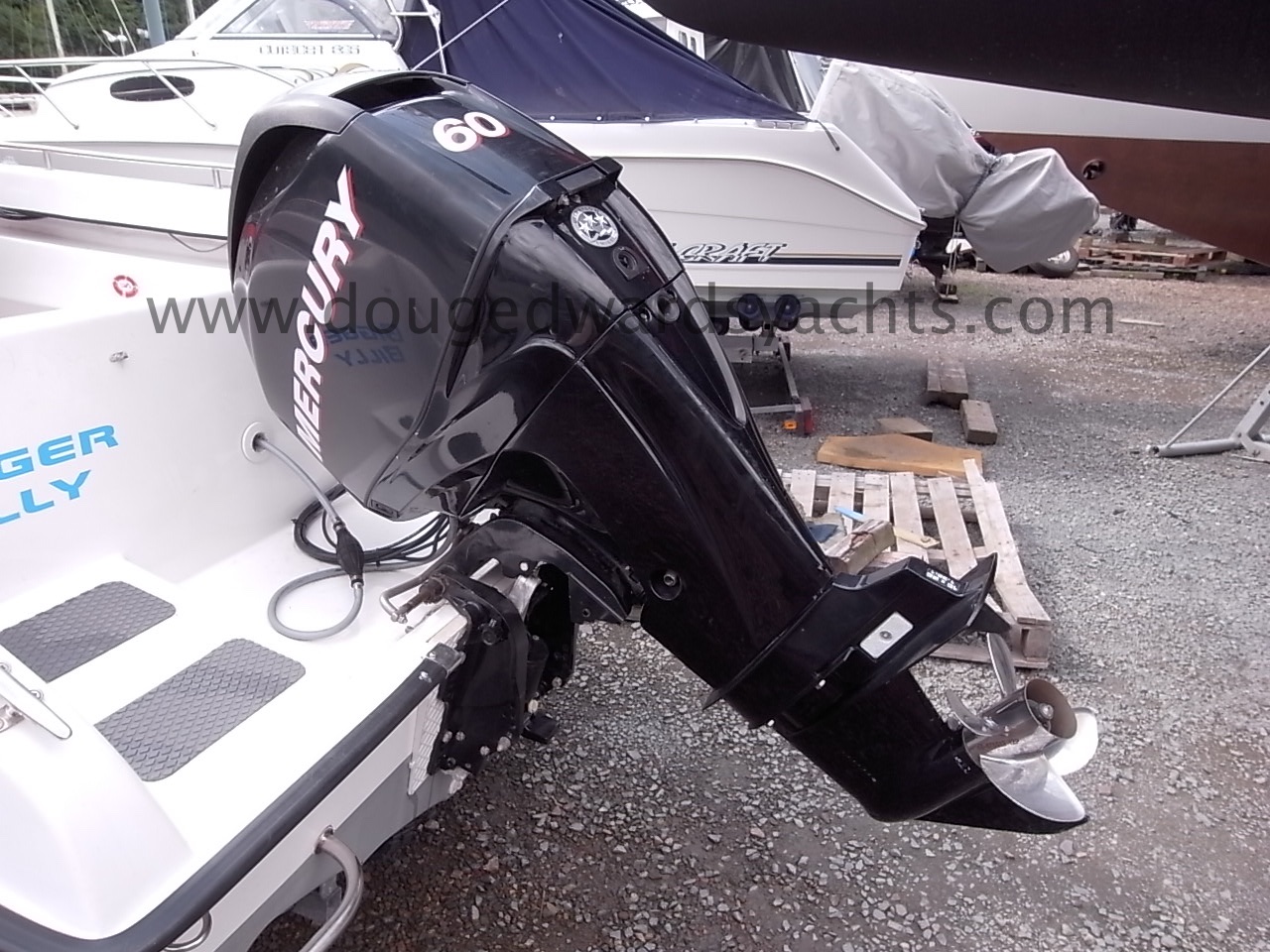 Predator 165 Sports Fishing Boat – Doug Edwards Yachts