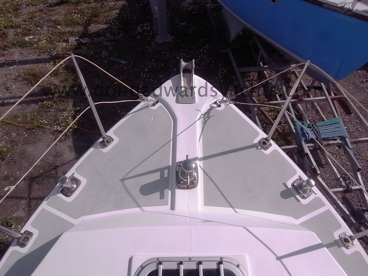 Cygnus DS25 Sea Angler – Doug Edwards Yachts